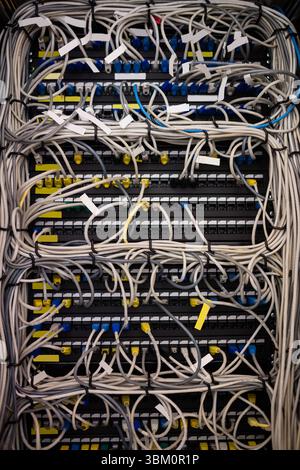 Blue Ethernet Cable Connectors Patch cord cord close-up isolated on a blue background with free ...