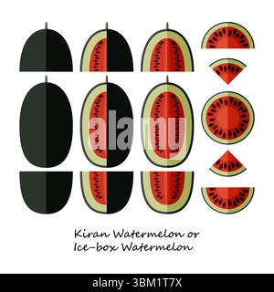 Set of Kiran Watermelons. Ice-box Watermelon. Citrullus lanatus. Fruits ...