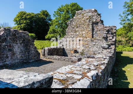 Innisfallen Island, Lough Leane, Killarney, Co.Kerry Stock Photo - Alamy