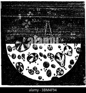 Le pain et la panification Fig. 1 Stock Photo - Alamy