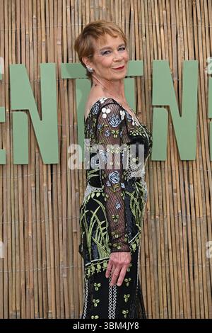 Celia Imrie attends the Serpentine Summer Party at Serpentine South in ...