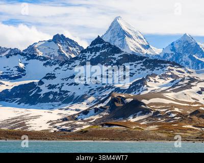 Saint Andrews Bay and the huge colonies of king penguins the Allardyce ...