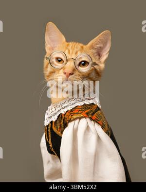 Funny cat sitting closeup face on balcony railing of apartment in Lviv ...