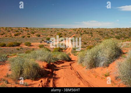 The French Line Track across dunes, Munga-Thirri–Simpson Desert ...