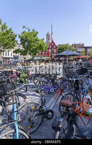 Utrecht, the Netherlands, bicycle traffic in the city center, 60% of ...