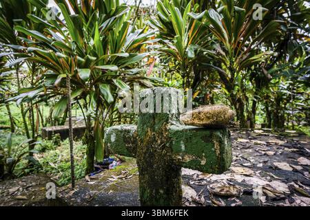 Ceremonial syncretic vegetal cross, La Tana cemetery, Reyna area ...