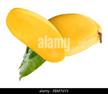 leaves mango on white background, clipping path Stock Photo - Alamy