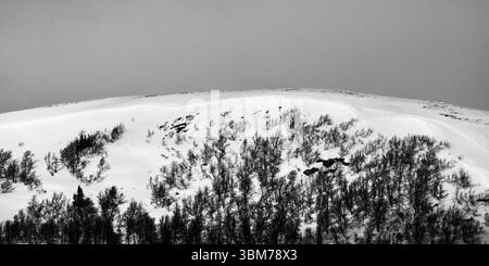 Images from the area of Venabygdsfjellet Mountains with the Rondane ...