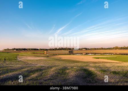 A scenic riverside landscape captured on the banks of the Jamuna River ...