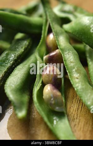 A closeup shot of Hyacinth Bean or Lablab Purpureus leaves in an ...