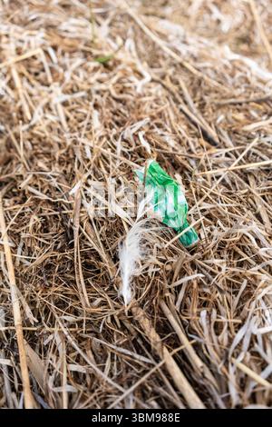 discarded sweet wrapper Stock Photo - Alamy