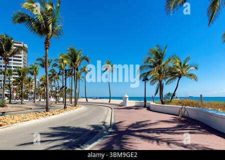 Seafront beach promenade with palm trees in Fort Lauderdale Stock Photo ...