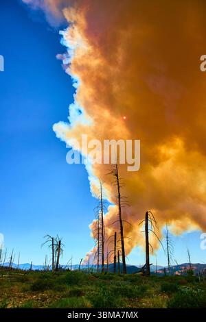 Wildfire Smoke Plume Over Canyon Burn Scar and Sun in Dramatic Forest ...