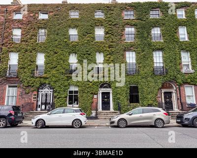 Baggot street features elegant Georgian buildings covered in ivy in ...