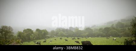 Hedge on an Organic Farm in Autumn. With Brambles, Blackthorn, Roses ...