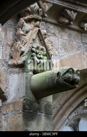 gargoyle for drain, Royal monastery of Santa María de Veruela ...