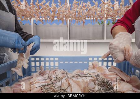 elaboration of dried fish, Formentera, Pitiusas Islands, Balearic ...