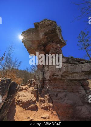 Devil?s Table, Mushroom shaped rock, Hinterweidenthal, Palatinate ...