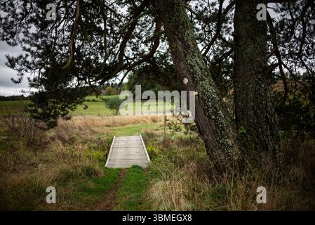 France, Loire, The Forez Mountains, Way of St James, GR765, Via ...