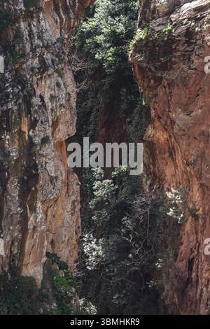 bridge of God, Fardi river gorge, Akchour, talambote, Morocco, North ...