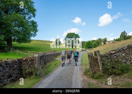Visitors walking along farm track in Gorreana Chá tea plantation, Sao ...