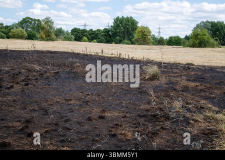 Scorched grass at Rammey Marsh, Enfield, London, after wildfires ...