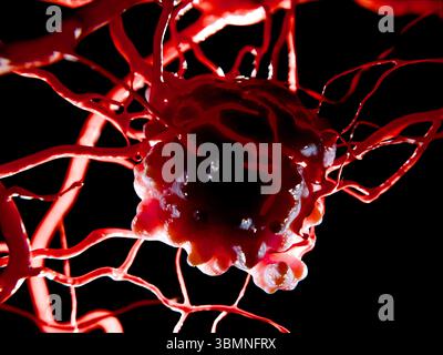 Blood vessel formation. Illustration showing malignant (cancerous ...
