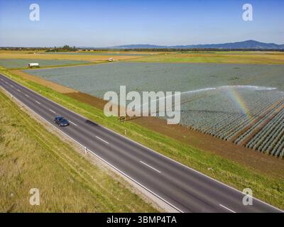 Sprinkler with irrigation for an agricultural field next to a road with ...