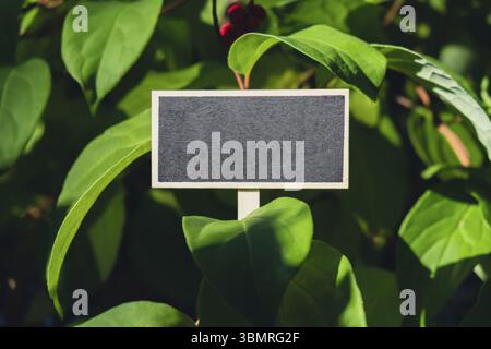 Empty mockup template Blackboard label against Color container for ...