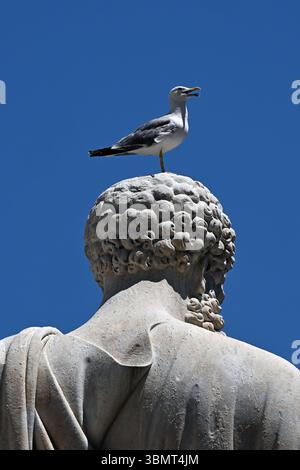 Vatican, Vatican. 28th June, 2025. **NO LIBRI** Italy, Rome, 2025/6/28 ...
