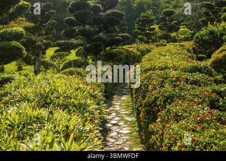 Dr. Rafael Ma. Moscoso National Botanical Garden in Santo Domingo ...