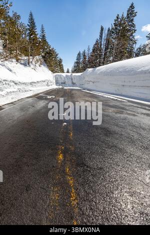Redwood Closes Road Stock Photo - Alamy