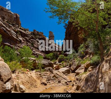 The Narrows of Lower Hackberry Canyon, Grand Staircase-Escalante ...