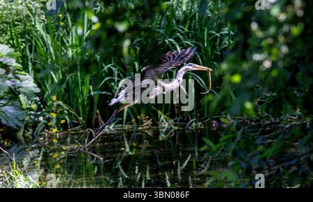 Dundee, Tayside, Scotland, UK. 29th Dec, 2025. UK Weather: Templeton ...
