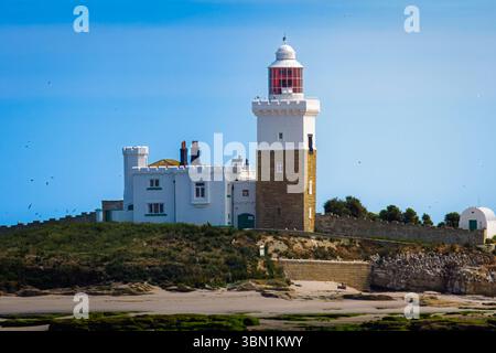Coquet Island Lighthouse and nature reserve, Northumberland June 2025 ...