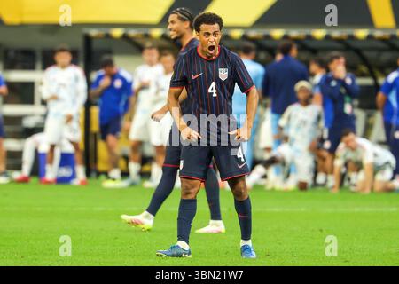 United States' Tyler Adams (4) reacts after the World Cup Group D ...