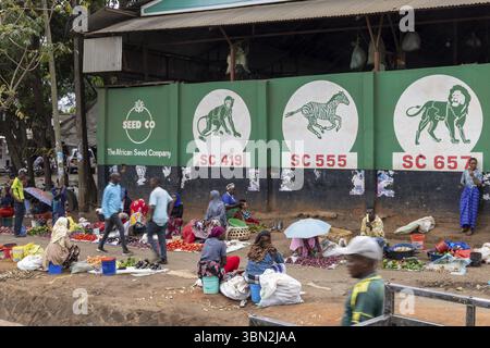 Arusha city in Tanzania, Africa Stock Photo - Alamy