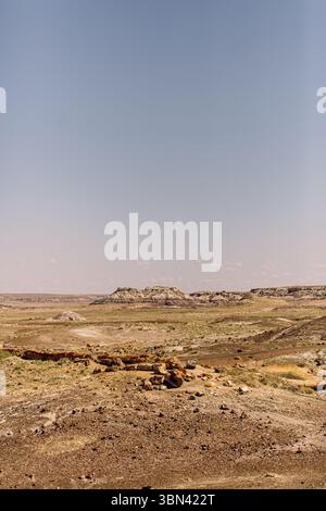 Stunning petrified wood in the Petrified Forest National Park, Arizona ...