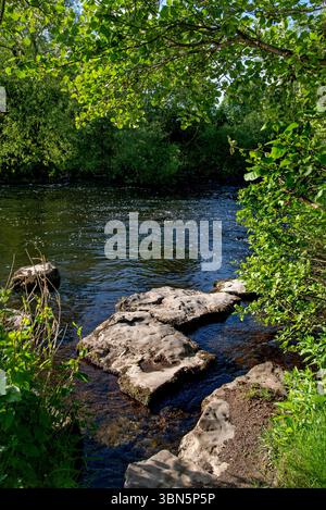 Celbridge Ireland Nature Landscape River Field Stock Photo - Alamy