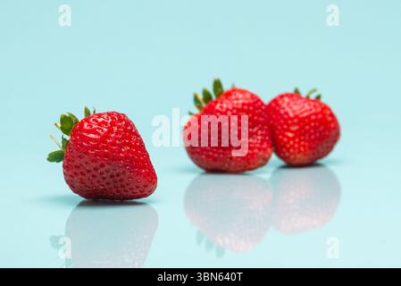 Three ripe strawberries rest on a light blue surface, one slightly ...