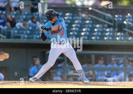 Colin Summerhill (12) of the Inland Empire Cherubs in the field against ...