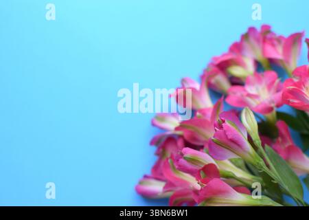 Bouquet of Pink Alstroemeria flowers. Selective focus Stock Photo - Alamy