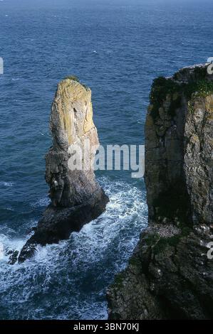 Stack Rocks panoramic Castlemartin Pembrokeshire Coast National Park ...