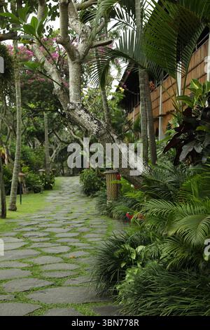 Pathway through park with different exotic plants Stock Photo - Alamy