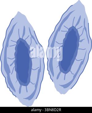 lightweight disposable shoe covers cartoon vector illustration Stock ...