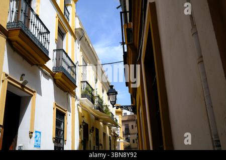 Balconies, verandas, and flower pots in the Jewish Quarter in Seville ...