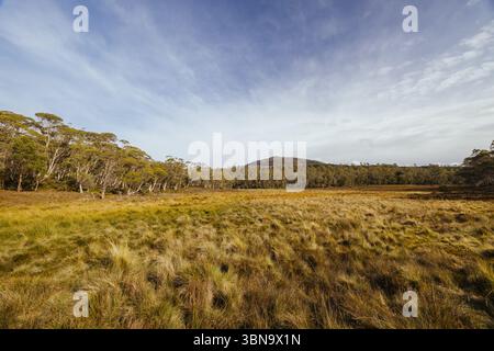 Arm River Track in Tasmania Australia Stock Photo - Alamy
