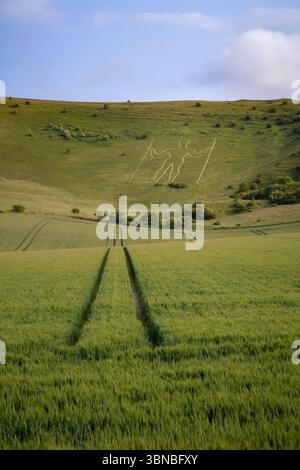 Long Man of Wilmington Chalk Figure Stock Photo - Alamy