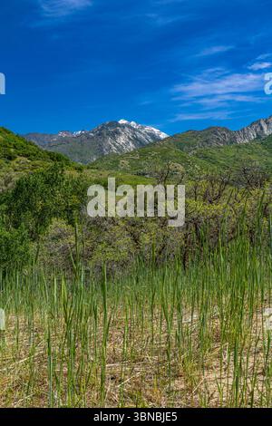 Sullivan peak from Dimple dell park, Salt Lake City Utah USA Stock ...