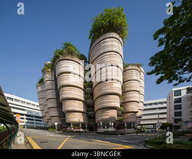 The Hive, NTU Singapore architecture designed by Thomas Heatherwick ...